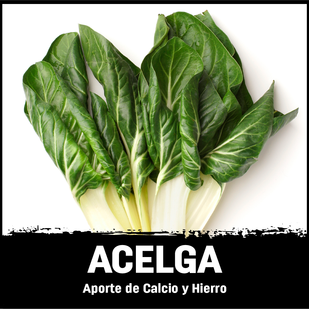Acelga Agrosano | Fresca, Rica y Sana | Verduras Seleccionadas